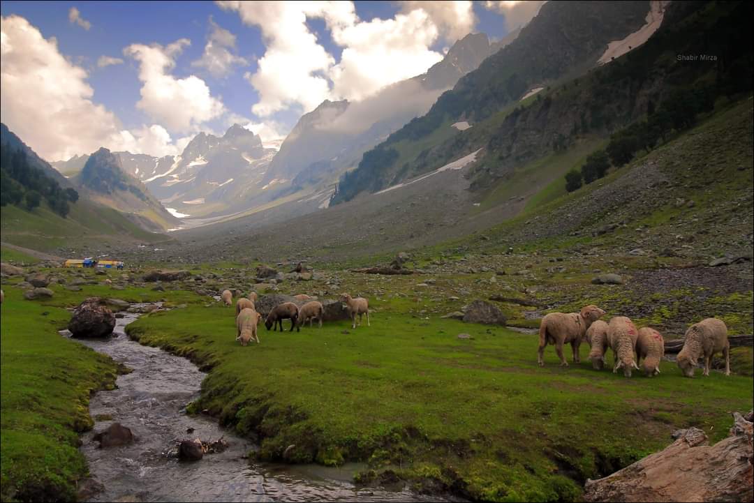 Kashmir Tour Package 4N 5D | Romantic Kashmir Valley Trip